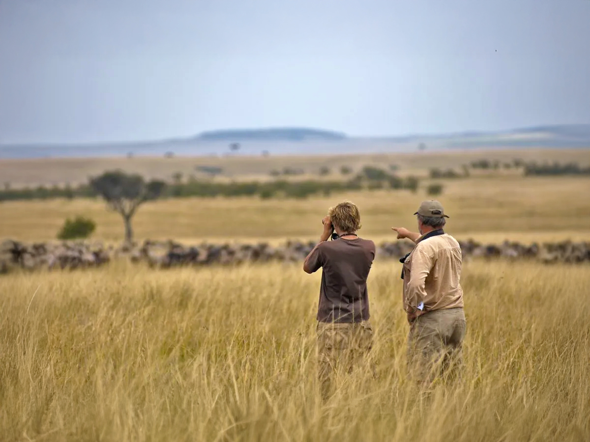 A Complete Guide to Booking a Serengeti Safari, Tanzania 2025-2026 ...