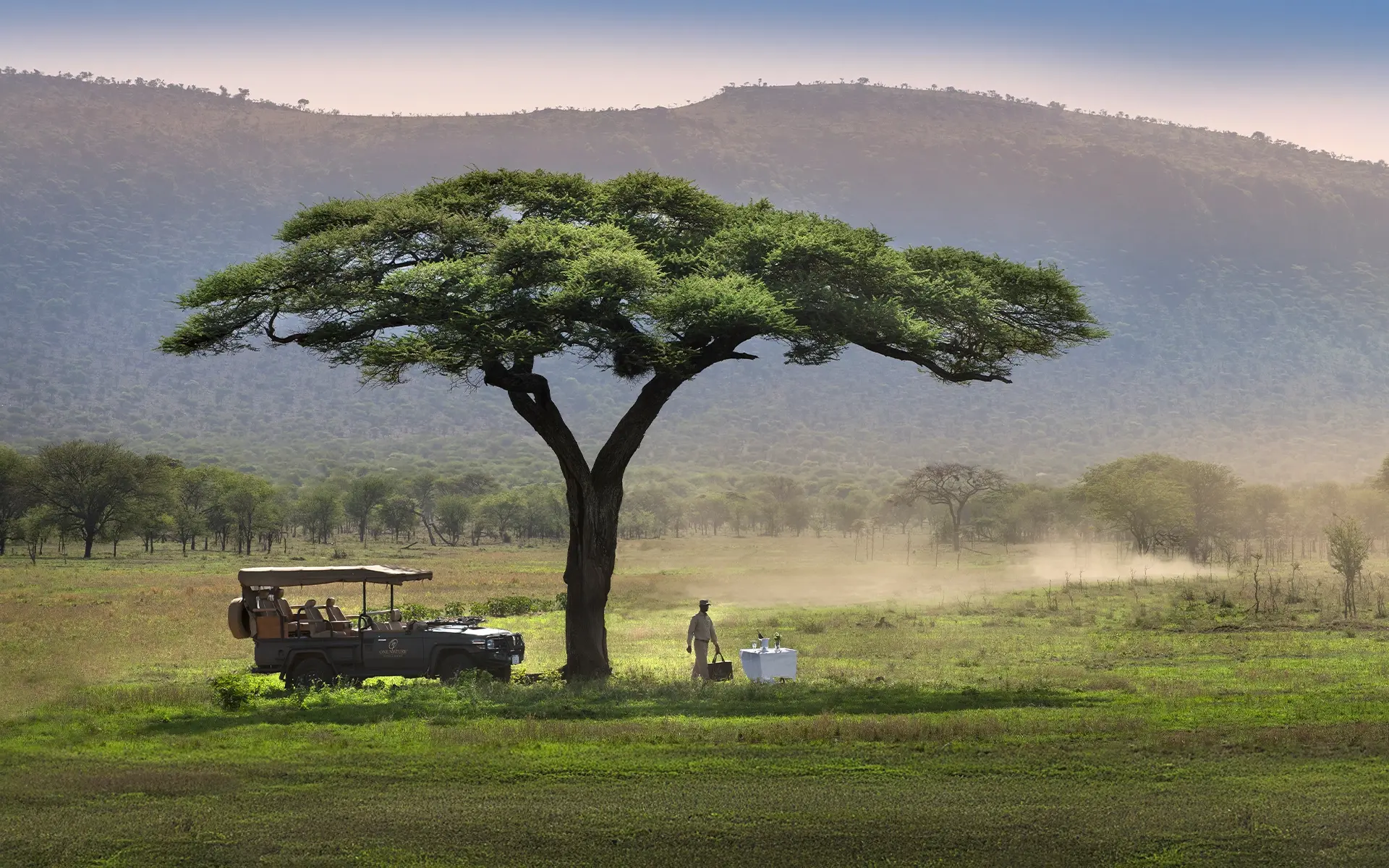 Why Luxury African Safaris Are Expensive Yet Priceless | Africa Travel ...