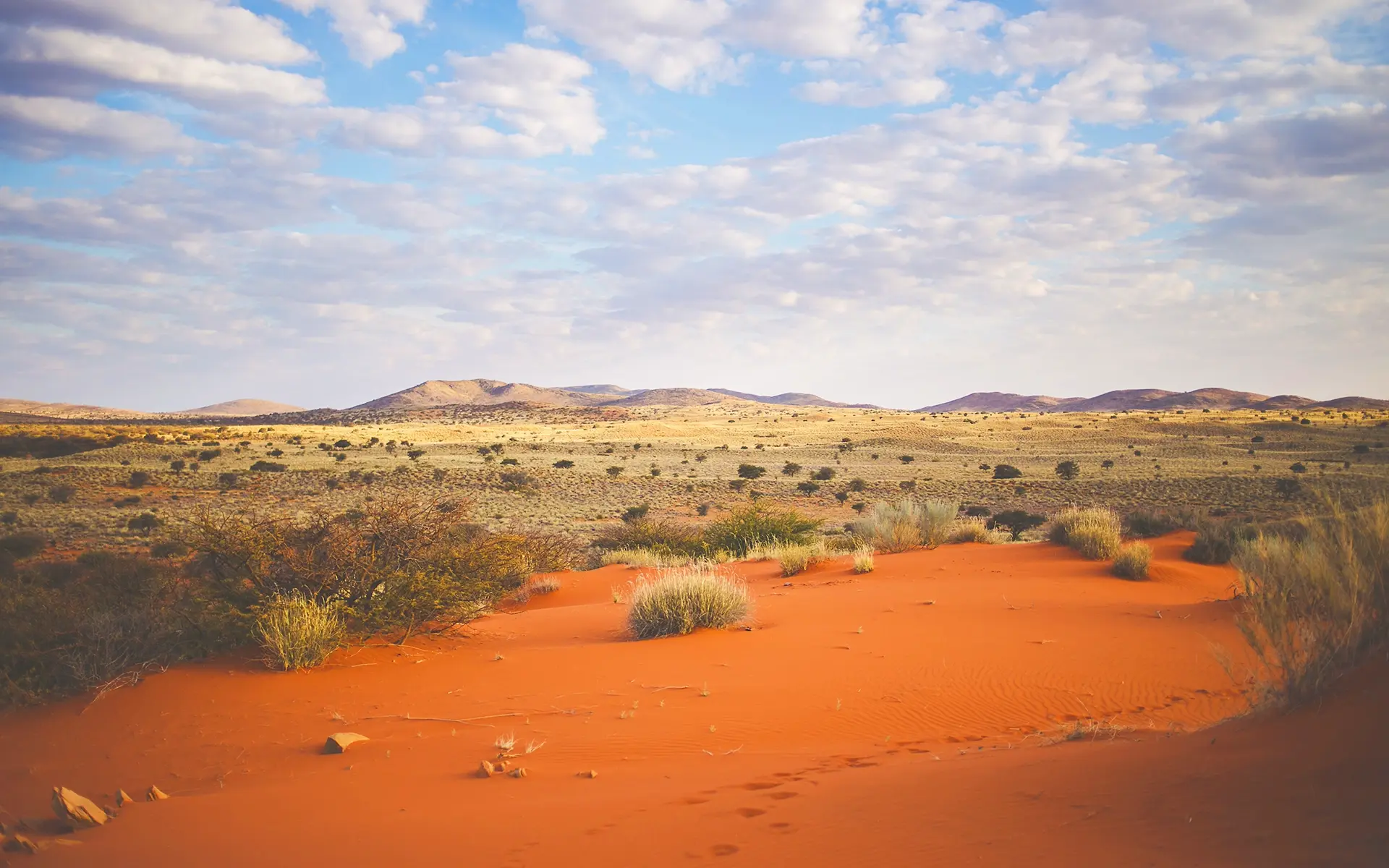 Wonders of South Africa: Deserts, Beaches & Big Five | Africa Travel ...